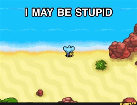 Shinx Memes Best Collection Of Funny Shinx Pictures On Ifunny