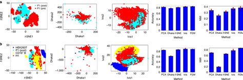 Visualization Of A High Dimensional Scrna Seq Dataset Using T Sne Download Scientific Diagram