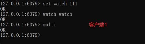 【存储中间件】redis核心技术与实战（二）：redis高级特性与应用（慢查询、pipeline、事务）redis 慢查询阈值 Csdn博客