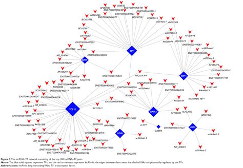 Long Noncoding Rna Expression Profile Analysis Of Colorectal Cancer An Ott