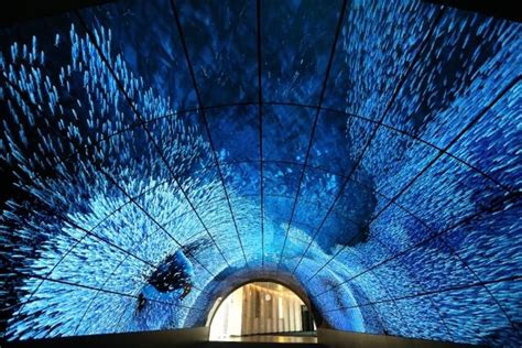 Oled行业研究报告—附71家关联企业介绍 知乎