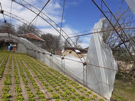 Оранжерии в Пловдивско станаха на дреб стопани плачат за труда си Снимки Български Фермер