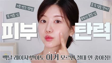 네이버 인플루언서