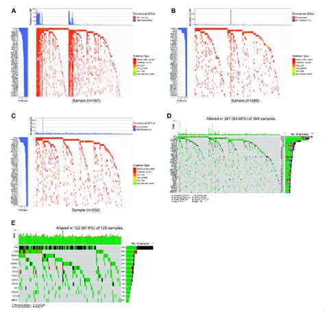 The Primary Mutations Were Screened By Whole Exon Sequencing And A