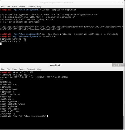 Slae 3 Egghunter Shellcodes 23 And 37 Bytes Re4son