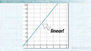 Linear Relationship Definition Examples Lesson Study Com