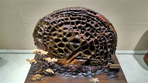 奇石馆游玩在哪里柳州奇石馆鱼骨化石常山石头博物馆第10页大山谷图库 奇石馆游玩在哪里柳州奇石馆鱼骨化石常山石头博物馆第10页大山谷图库