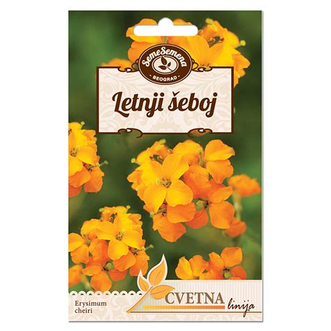 Letnji šeboj Seme Semena