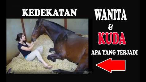 Cewe Cantik Vs Kuda Jantan Youtube