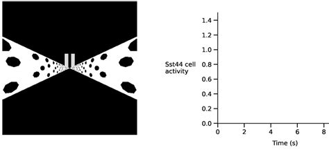 Scientists Identify Cells Involved In Correcting Errors During Spatial Navigation Harvard