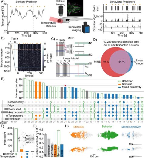 Figures And Data In Model Discovery To Link Neural Activity To Behavioral Tasks Elife