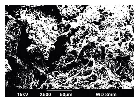 Sem Image Processing A Binary Processing B Microstructural