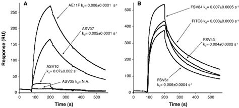 The Single Codon Modifications Did Not Affect The Reaction Rate Download Scientific Diagram