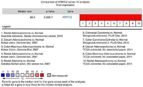 Oncomine Analysis Of Arntl2 Mrna Expression Levels In The 10