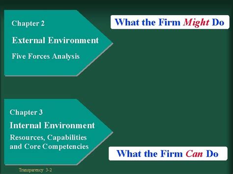 Chapter 3 The Internal Environment Resources Capabilities And