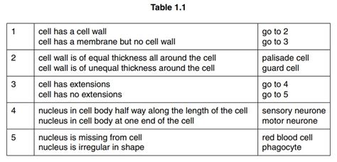Igcse Biology 0610 6 2 Leaf Structure Igcse Style Questions Paper 4