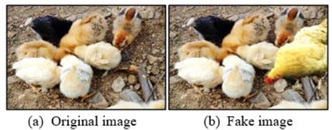 Figure 1 From Deep Ensemble Learning For Fake Digital Image Detection A Convolutional Neural