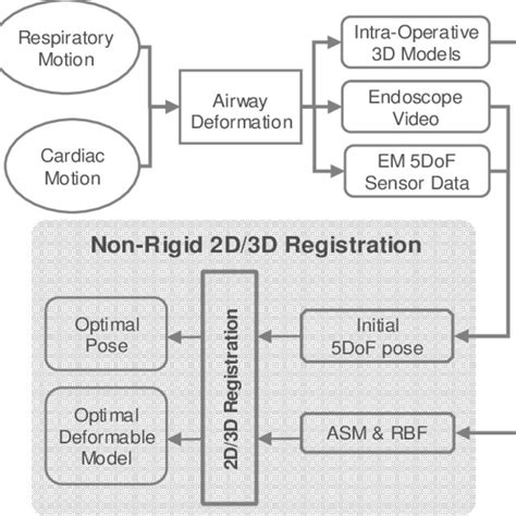 a schematic illustration of the proposed non rigid 2d 3d registration download scientific