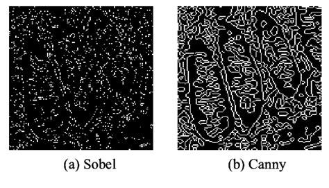 Applying Edge Detector On Original Binary Image Download Scientific Diagram