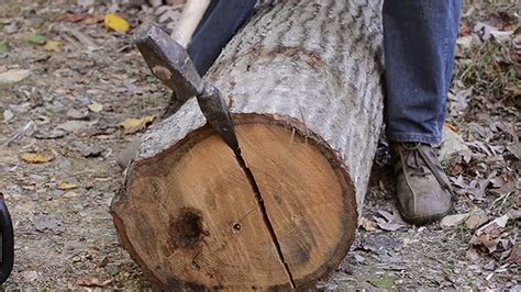 8 Steps To Split A Log For Amazing Lumber
