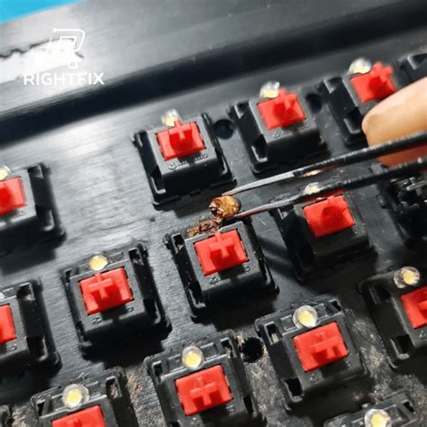 Thay Pin B N Ph M C Ch Nh H Ng Gi R Rightfix