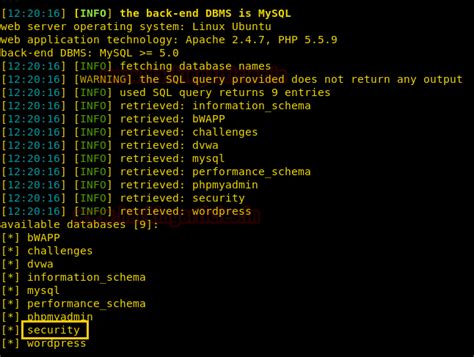 Penetration Testing Lab Setup Squid Proxy