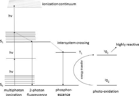 Two Photon Excited Fluorescence Two Photon Photochemistry And Download Scientific Diagram