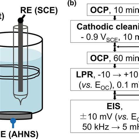 Open Circuit Potential Ocp Evolution And Polarization Resistance