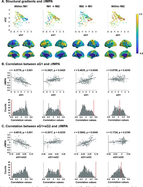 Figure 2 From Signal Diffusion Along Connectome Gradients And Inter Hub