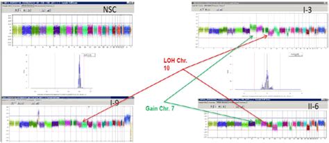 Representative Array Comparative Genomic Hybridization Cgh From