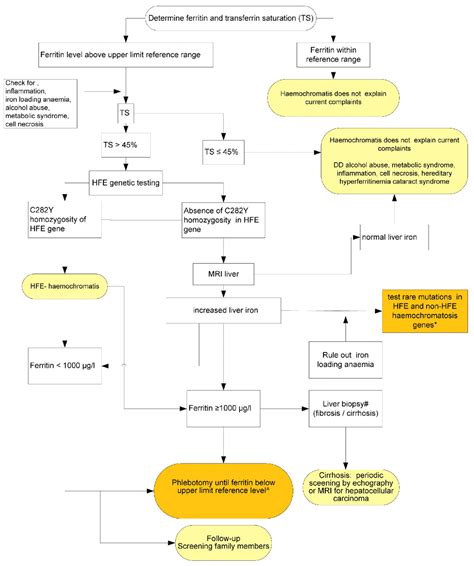 Novel Observations In Hereditary Hemochromatosis Potential