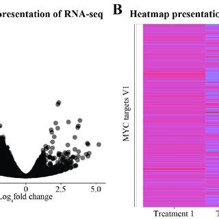 Presenting RNA Seq Data Using R Refer To The Supplementary Document To