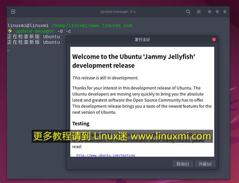 如何从 Ubuntu 20 04 升级到 Ubuntu 22 04 LTS分步指南 Linux迷