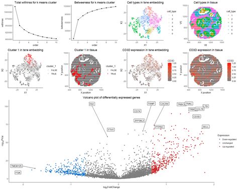 Validation Of Cell Type Clustering Via Differential Gene Expression Genomic Data Visualization