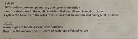 Solved Lab 10 Differentiate Between Pulmonary And Systemic Chegg Com