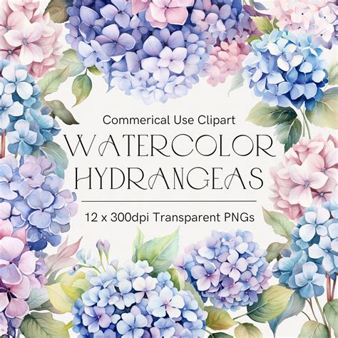 Blue And Pink Hydrangea Clipart Botanical Art Hydrangeas Clipart