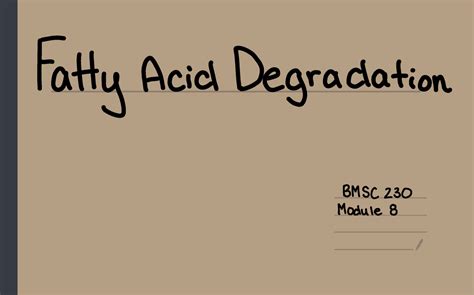 BMSC Module Notes Online Course Bmsc Fatty Acid Degradation BMSC Module