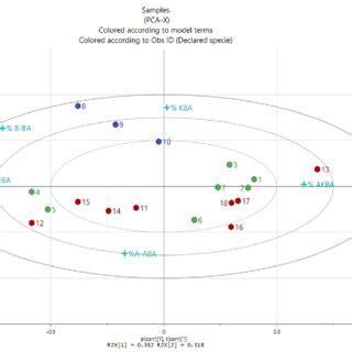 Biplot Of The PCA Model For The Set Of Analyzed Samples Belonging To B Download Scientific
