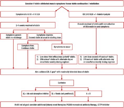 Statin Intolerance Diagnosis And Management Indian Journal Of Cardiovascular Disease In Women