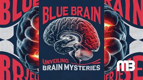 Simulating The Brain In Silico The Blue Brain Projects