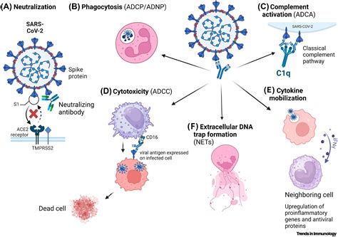 Neutralisation Advancing The State Of The Art In Neutralizing Stronger
