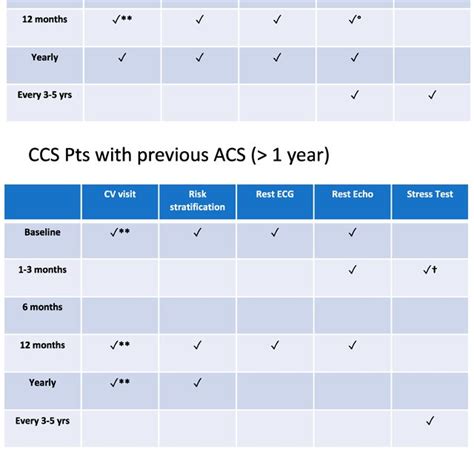 Model For The Management Of CCS Patients Modified From Knuuti J Et Download Scientific Diagram