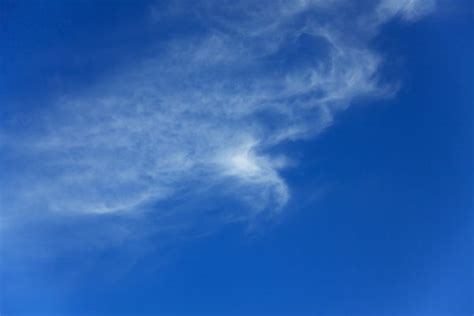 무료 이미지 자연 수평선 구름 하늘 햇빛 화이트 공기 낮 무늬 천국 날씨 적운 푸른 자유 클라우드 스케이프 맑은 배경 선명한 기후 일