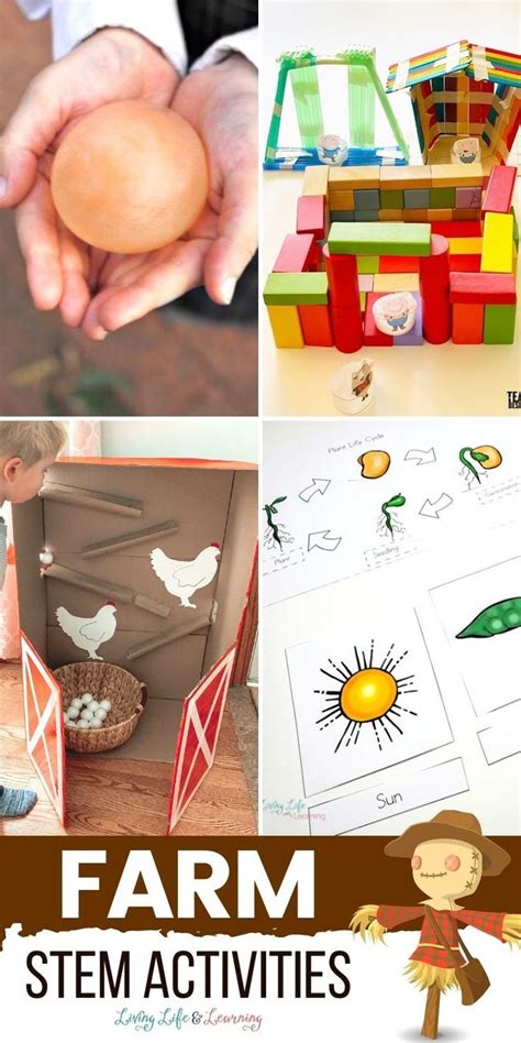 Pin På Elementary Science Activities