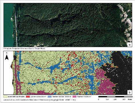 Results Of The Automatic Forest Delineation And Gap Extraction A Download Scientific Diagram