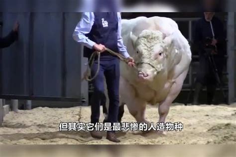 大人造暗黑生物你见过体长6 4米长相怪异的混血哥斯拉吗
