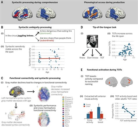 Language In The Aging Brain The Network Dynamics Of Cognitive Decline And Preservation Science