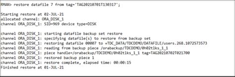 Use Case 3 Offloading Database Backups Dell Emc Powerflex Exploiting Snapshots For Oracle
