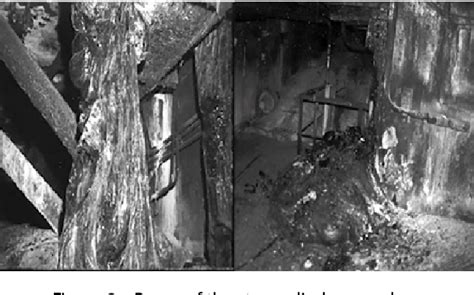 Figure 2 From Use Of The Laser Fragmentation Method In The Extraction Of Lfcm From The Shelter