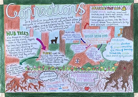 Poster Making Contest Winners On Science And Technology